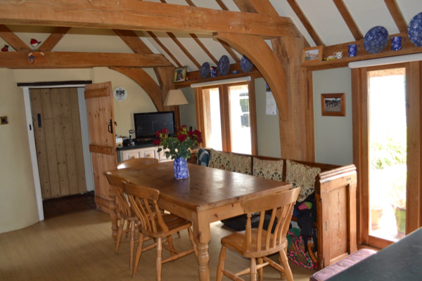 New Forest National Park Life